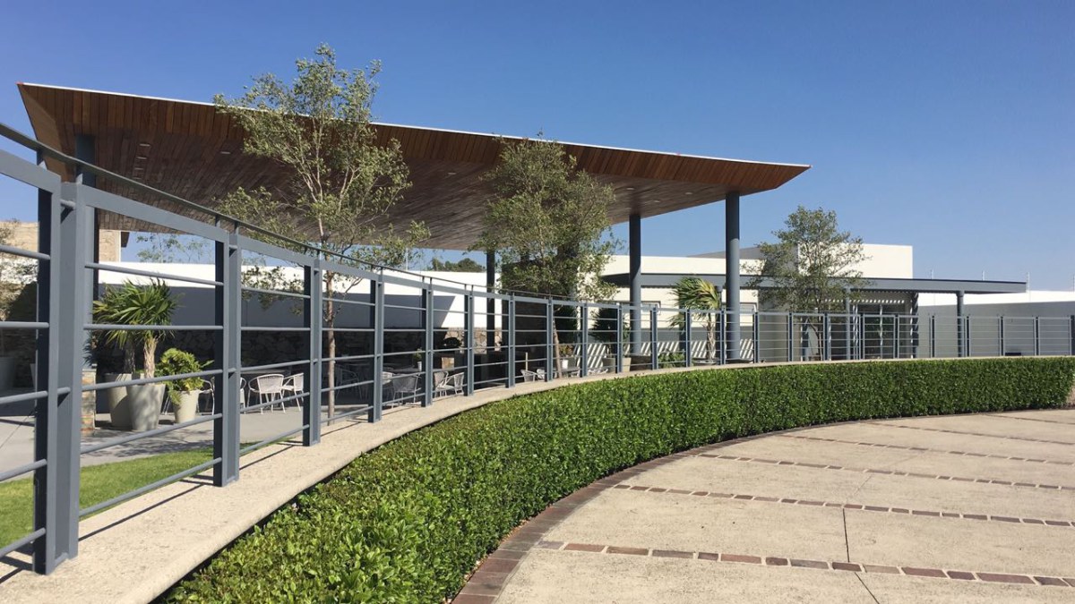 Colinas Virreyes | Héctor Cárdenas Curiel